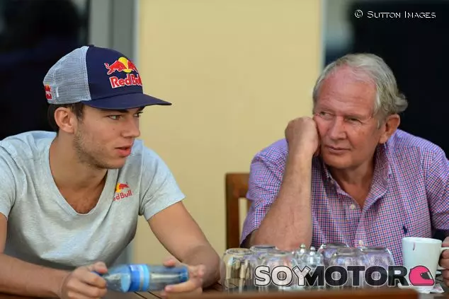 Pierre Gasly e Helmut Marko