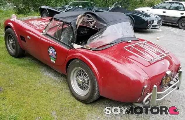 Shelby Cobra sulmuar nga ariu