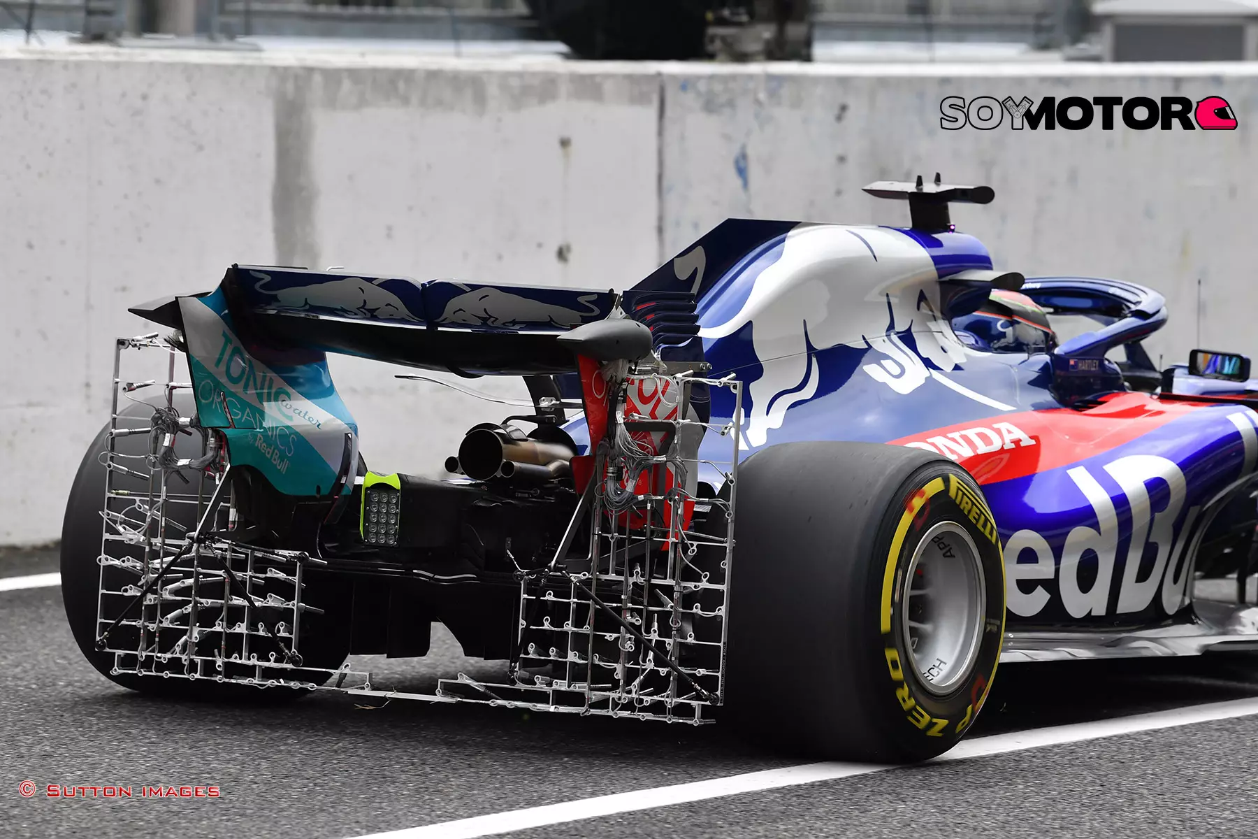 toro-rosso-parrillas_3.jpg