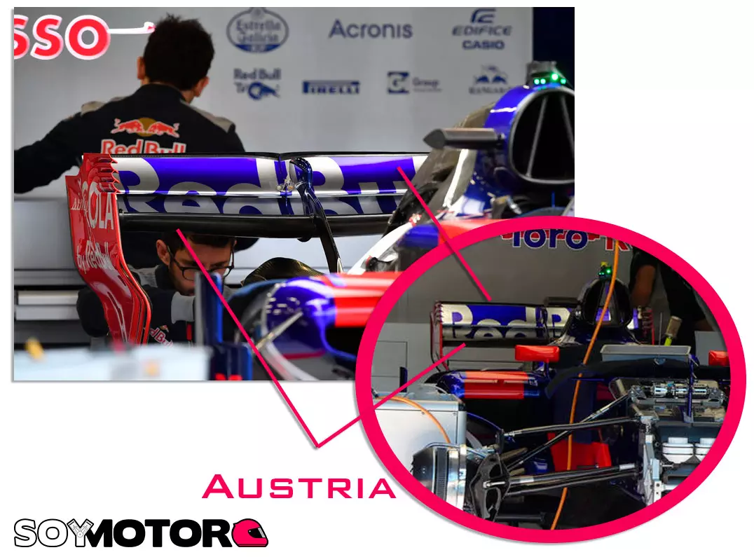 toro-rosso-ala-back_1.jpg