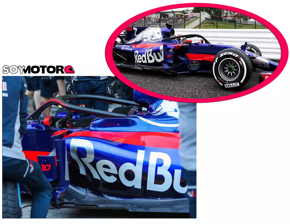 toro-rosso-halo_0.jpg