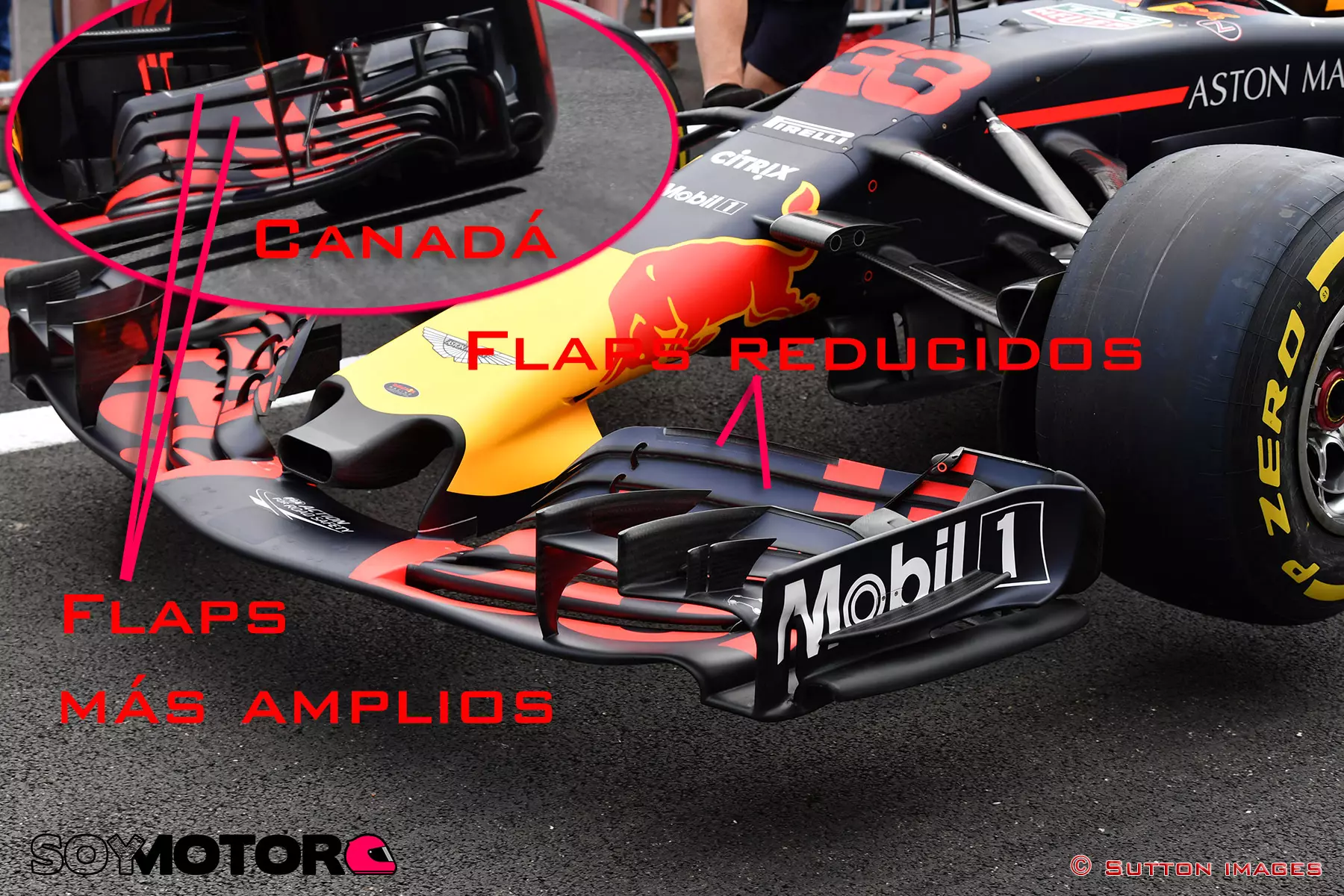 red-bull-ala-delantera_6.jpg